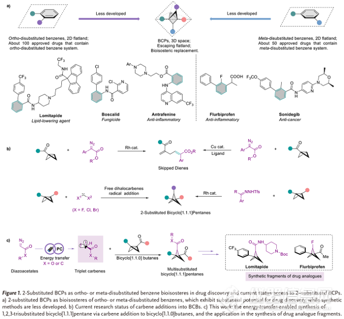 【Angew. Chem.】有机大牛Magnus Rueping团队：模块化合成双环[1.1.1]戊烷生物电子等排体_仪器信息网社区