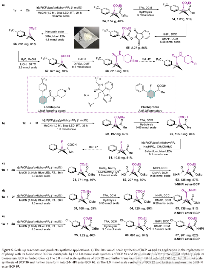 【Angew. Chem.】有机大牛Magnus Rueping团队：模块化合成双环[1.1.1]戊烷生物电子等排体_仪器信息网社区